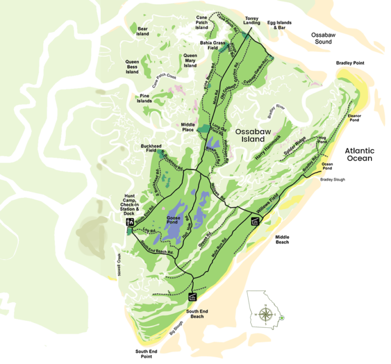 Ossabaw Island Foundation | Georgia’s Third Largest Barrier Island